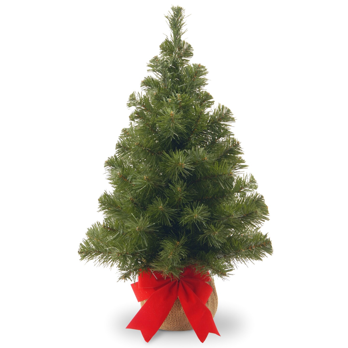 2 ft. Noble Spruce Tree | Michaels
