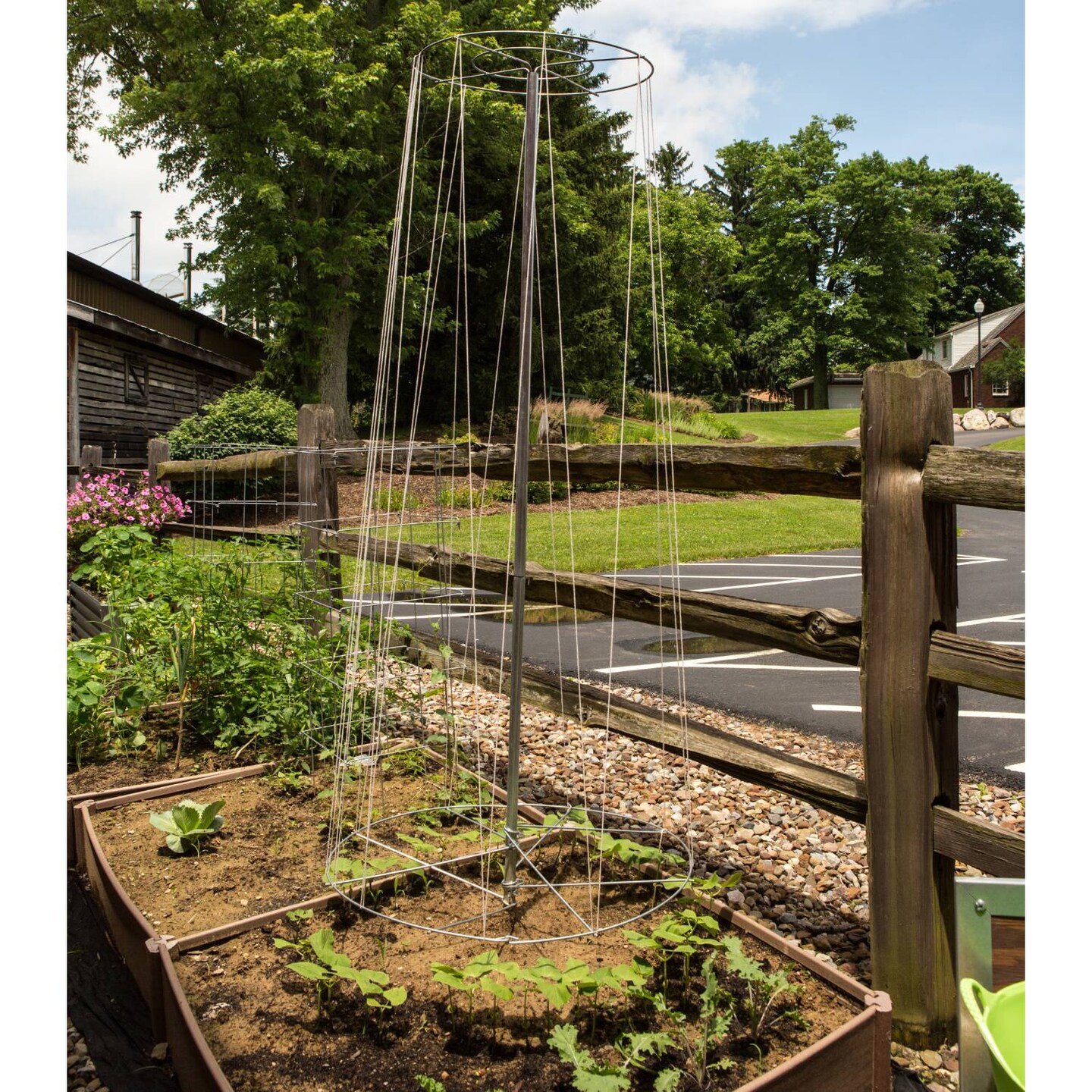 Galvanized Steel Garden Vegetable Support for Beans Cucumbers Melons ...