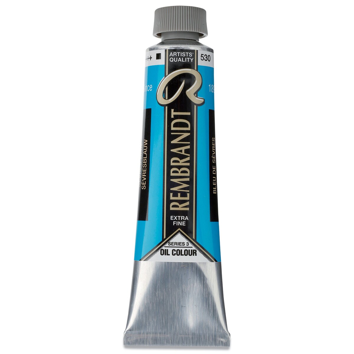 Rembrandt Artists' Oil Color - Sèvres Blue, 40 ml tube | Michaels