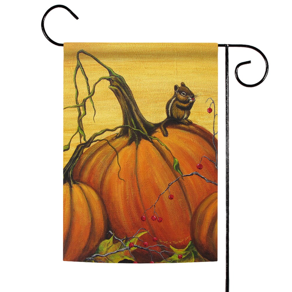 Pumpkin Portrait Decorative Fall Flag | Michaels