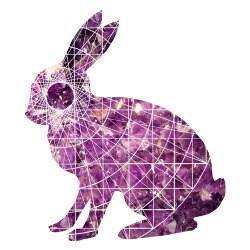 Adam Rabbit | Storefront | Michaels