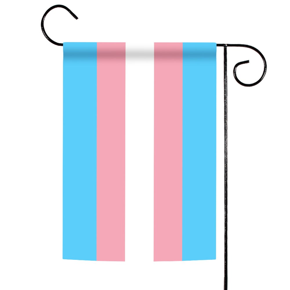 Transgender Pride Decorative Pride Flag | Michaels