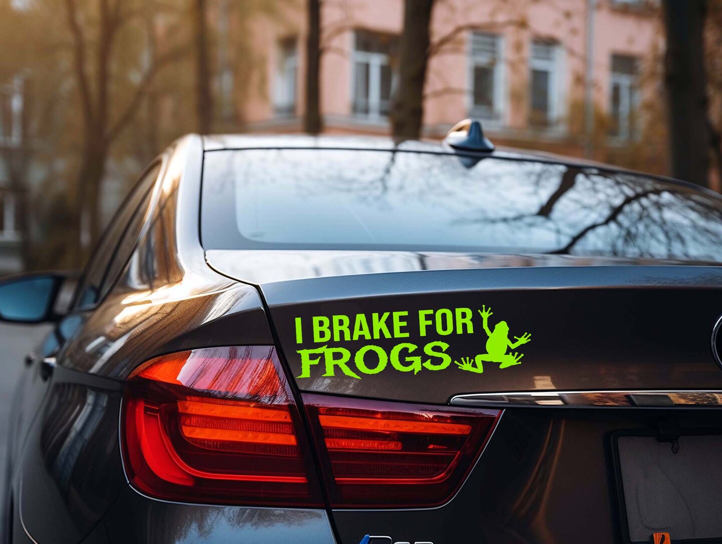 I Brake for Frogs decal vinyl for car windows bumper sticker laptop ...