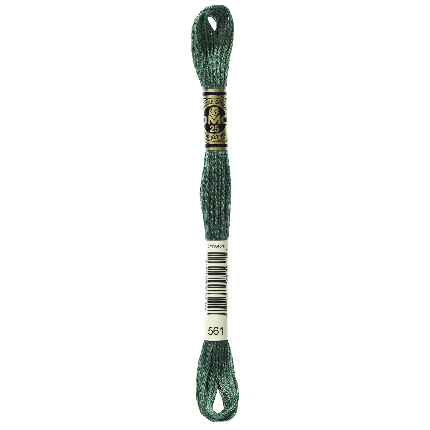 DMC 6-Strand Embroidery Cotton 8.7yd-Very Dark Jade | Michaels