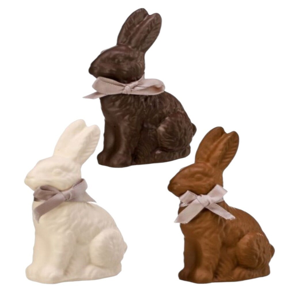 Chocolate Bunny Mold 9” | Michaels