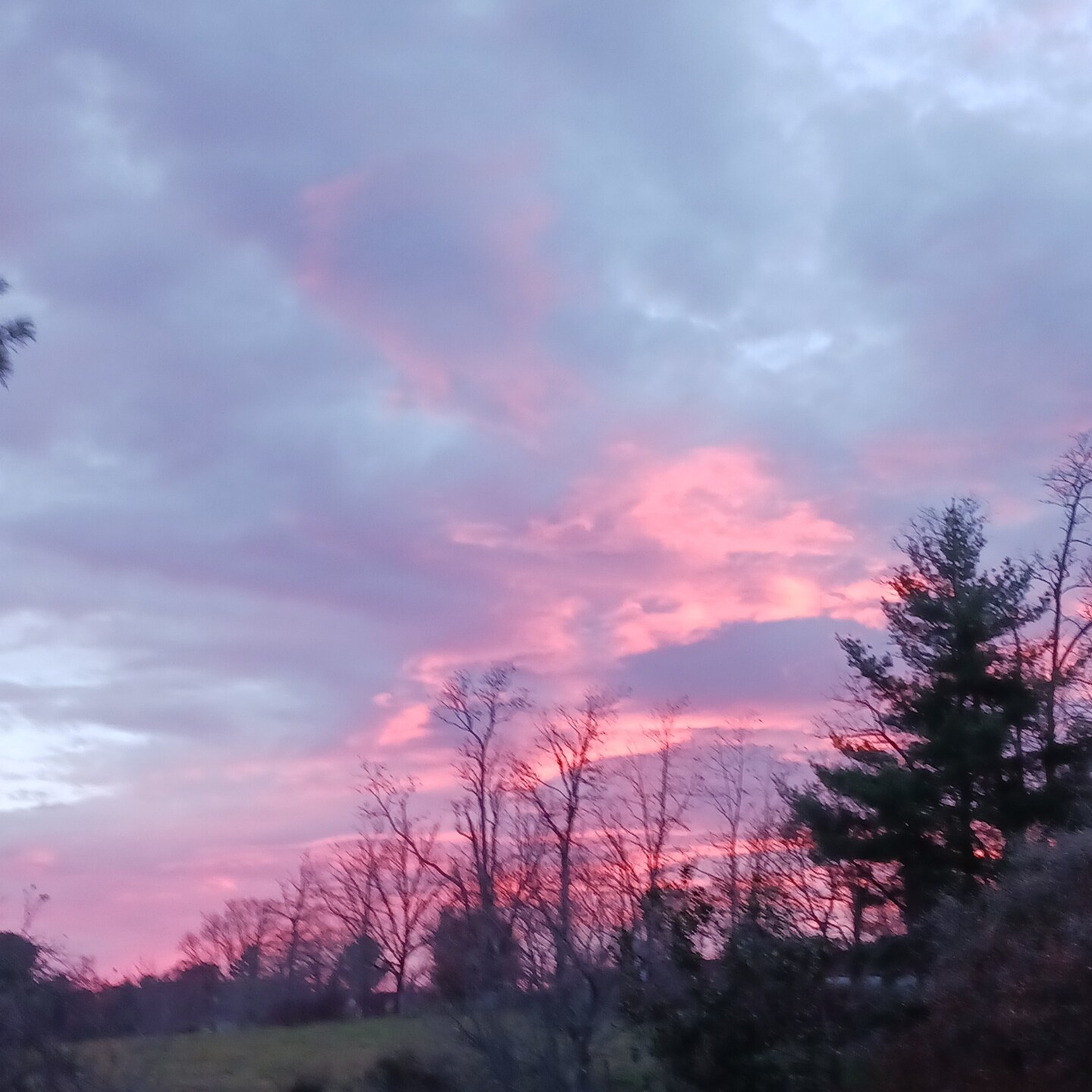 Celtic Craftsman Services | Storefront | Michaels