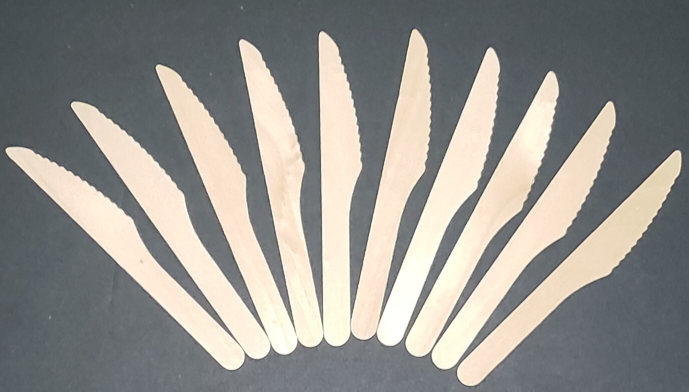Disposable Wooden Knives - 100 counts pack | MakerPlace by Michaels