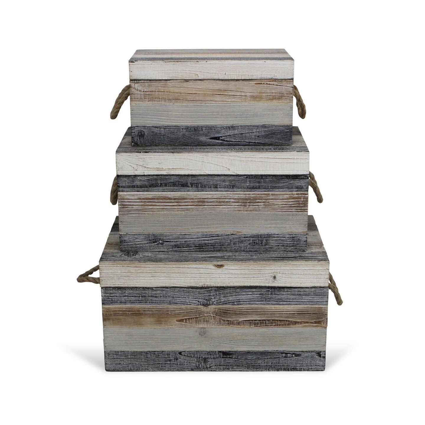 Contemporary Home Living Set of 3 Distressed Trunk Boxes with Rope ...