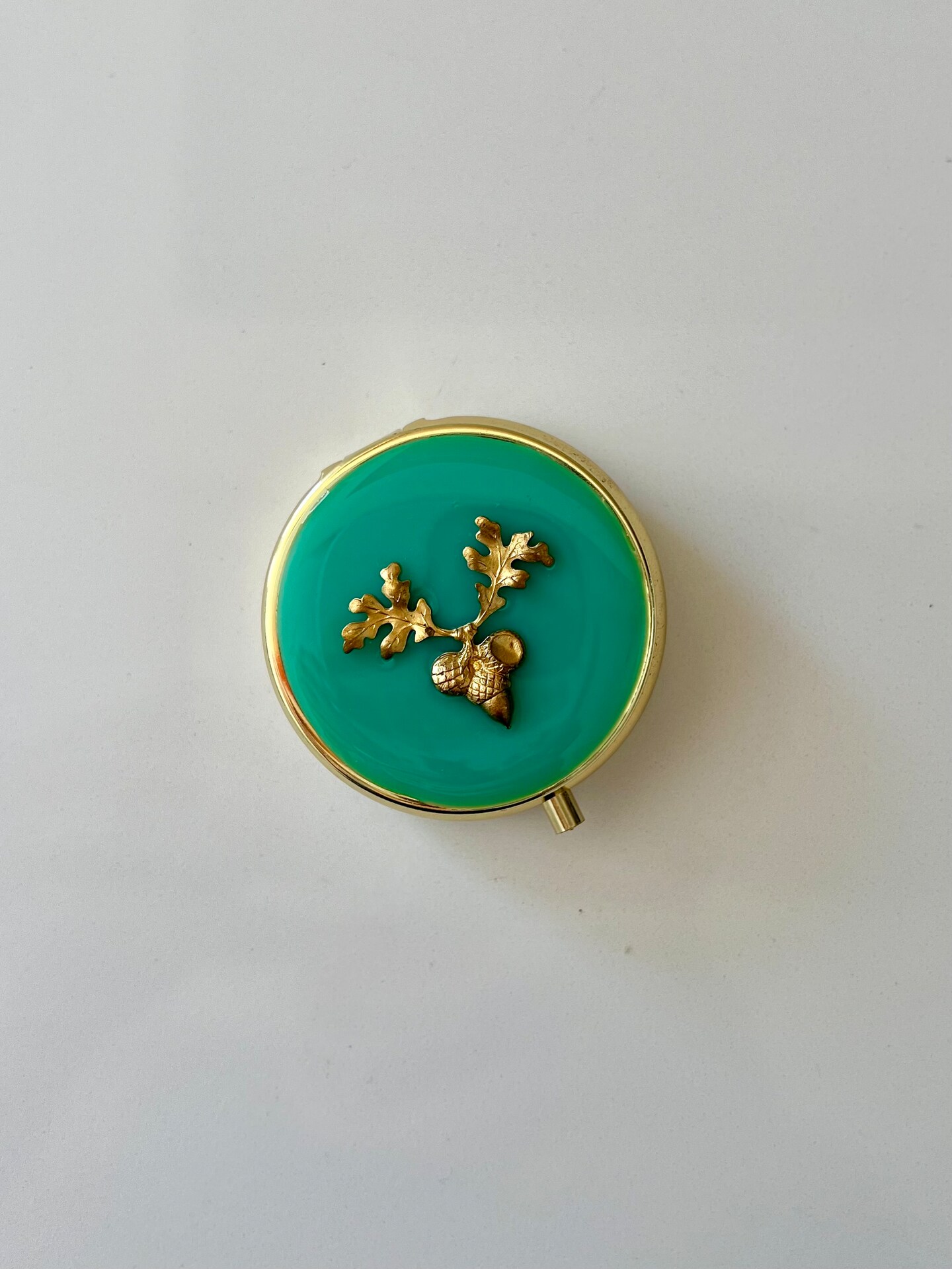 Pill box embellished with a acorns set on a green resin background ...