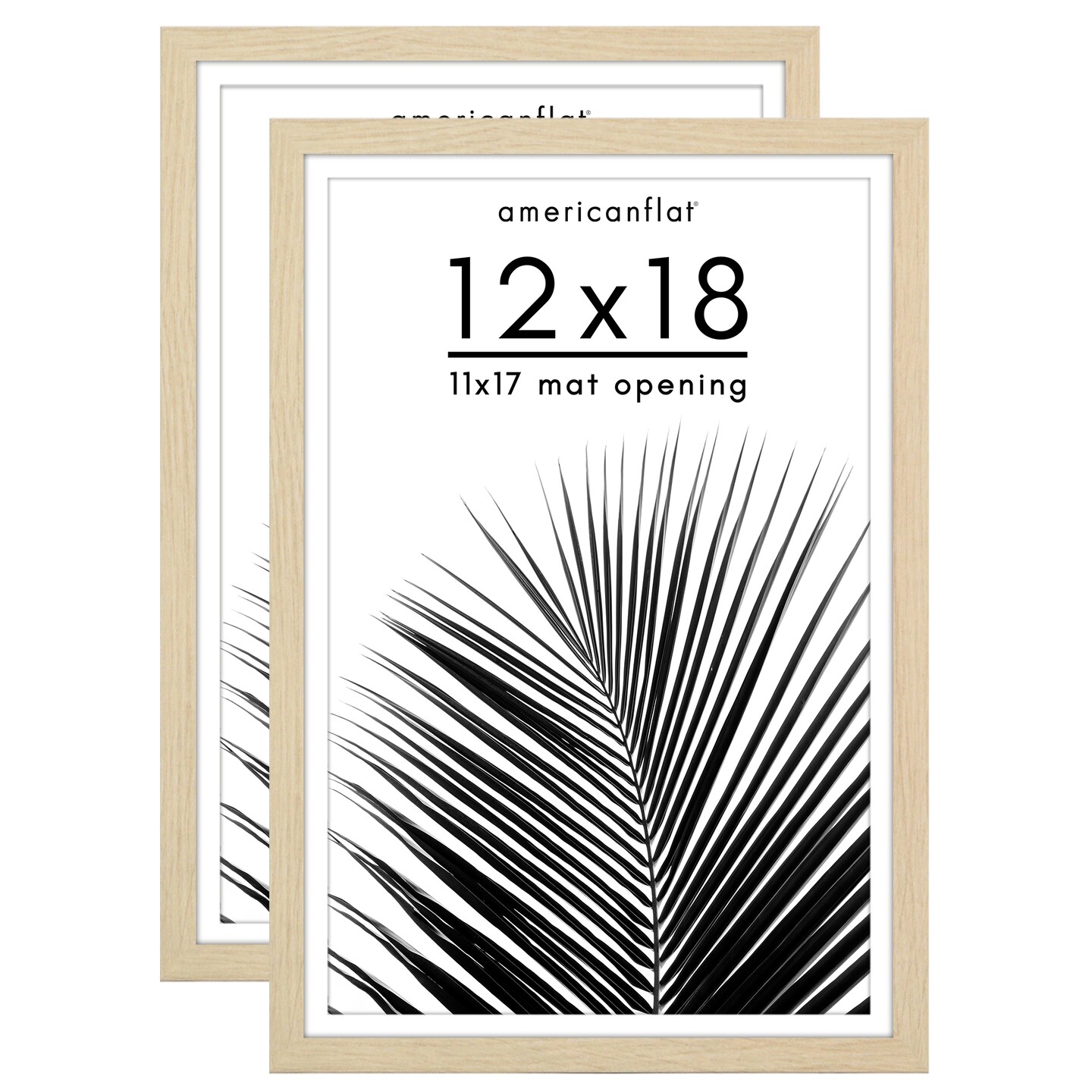 Americanflat 2 Pack of Picture Frames with Mat - Plexiglass Cover ...