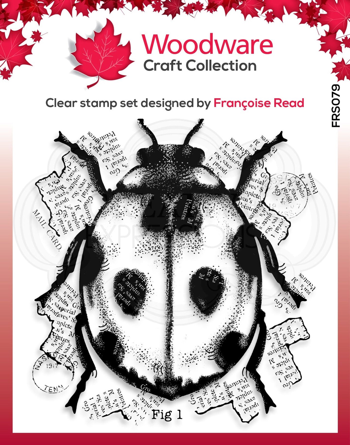 Woodware Craft Collection Woodware Clear Singles Ladybird 4 in x 4 in ...