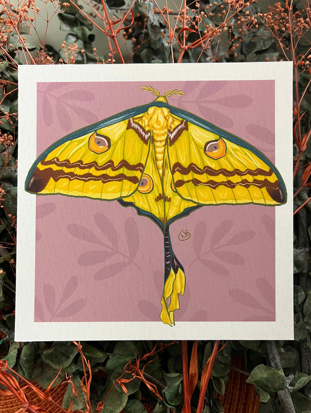 Comet Moth Print , moth art, moth print, wall art, insect art, insect ...