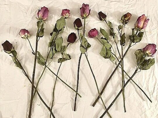 Assorted Dried Rose Stems | MakerPlace by Michaels
