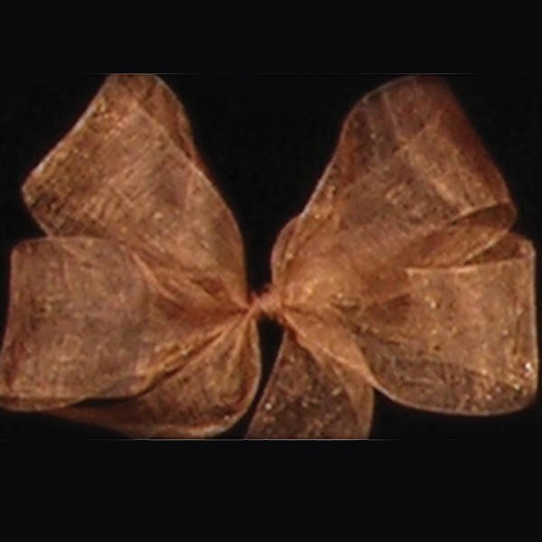 The Ribbon People Taupe Brown Solid Organdy Craft Ribbon 1" x 110 Yards ...