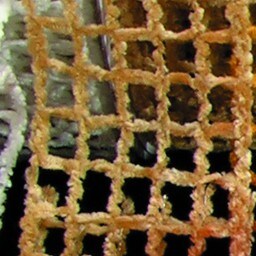 The Ribbon People Ivory Netting Wired Craft Ribbon 2.5" x 20 Yards ...