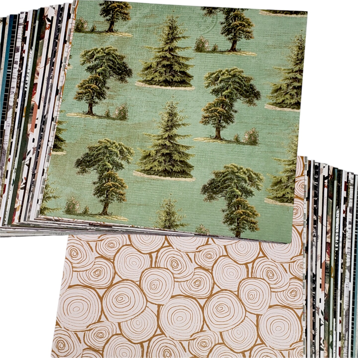 6” X 6” Woodland Forest Scrapbook Paper - Includes 30 Sheets ...