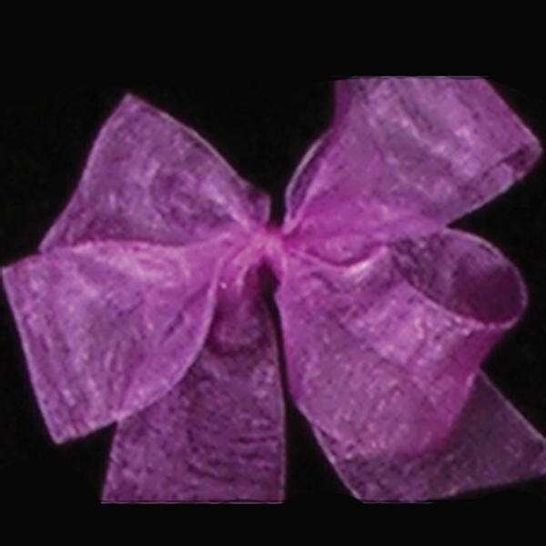 The Ribbon People Bright Purple Solid Organdy Craft Ribbon 4" x 55 ...