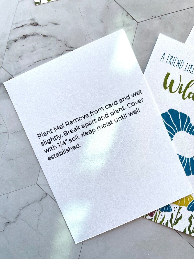 Seed Bomb Eco-Friendly Cards, Heart Seed Bomb Party Favors, Recycled ...