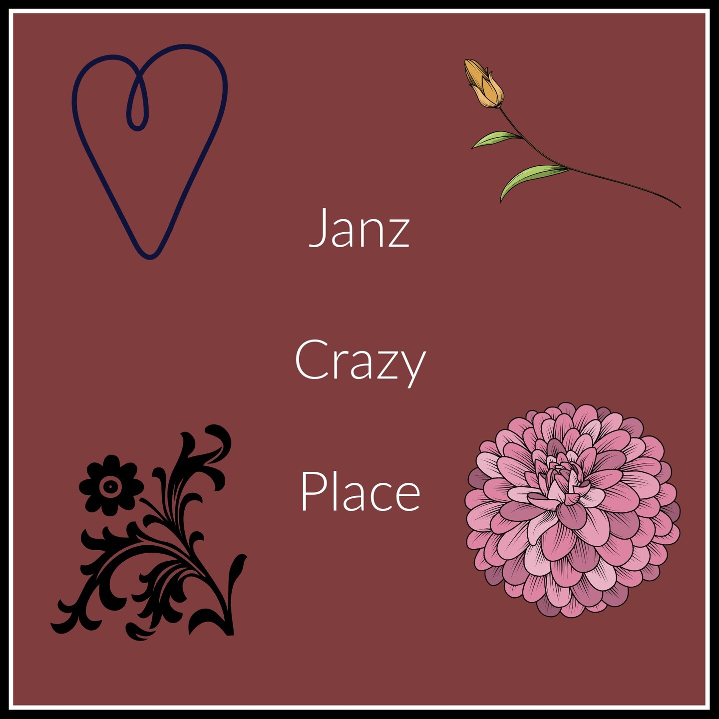 Janz Crazy Place | Storefront | Michaels