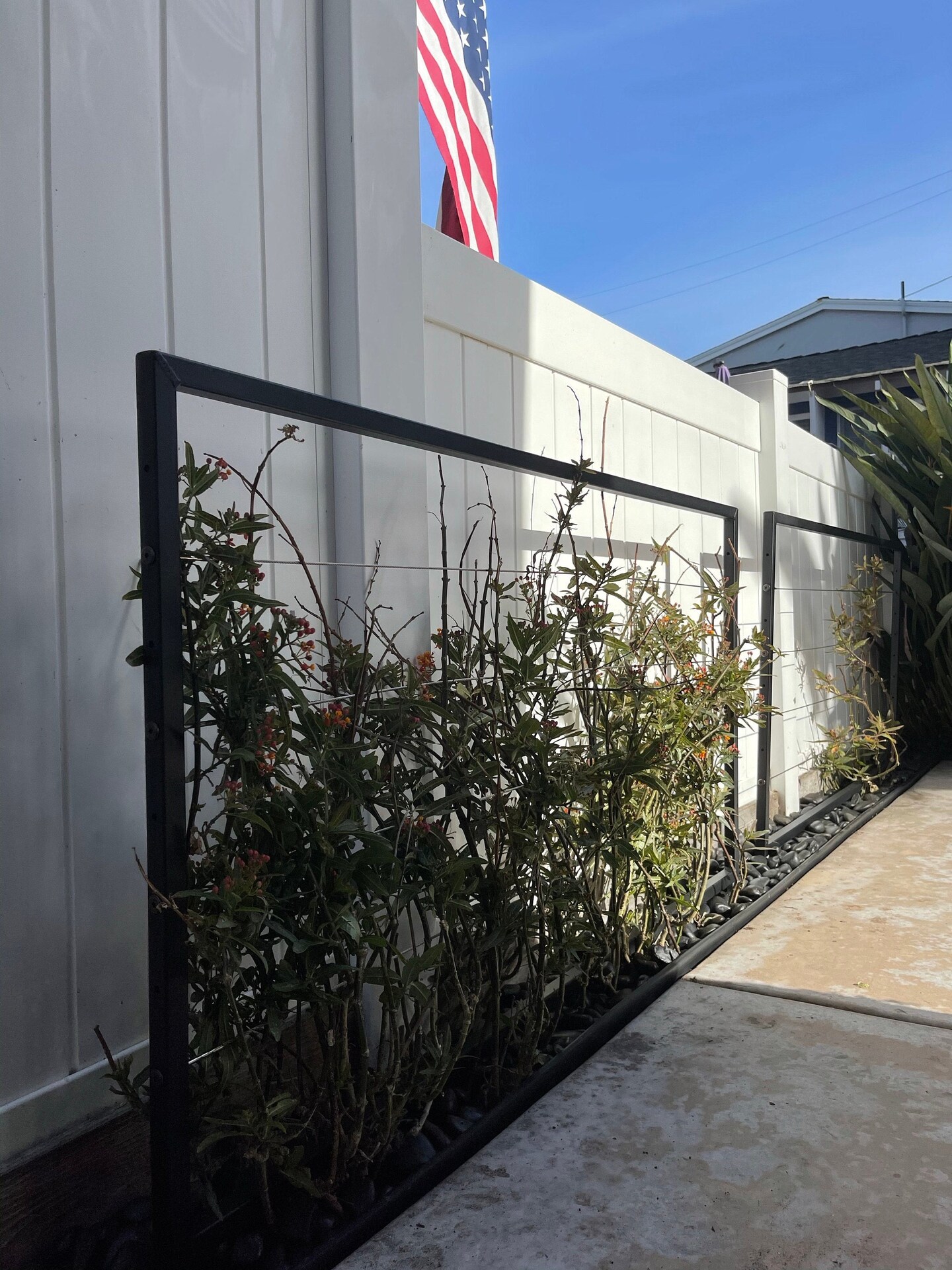 Modern, Metal Garden Trellis, horizontal, 60” wide, 2 heights ...