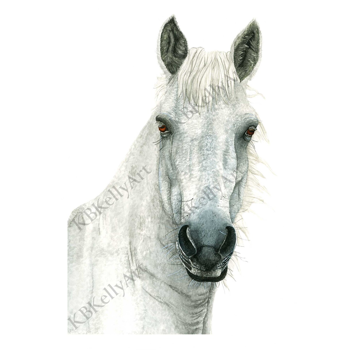 Horse Watercolor Art Print White Horse Painting Horse Wall Art Farm ...