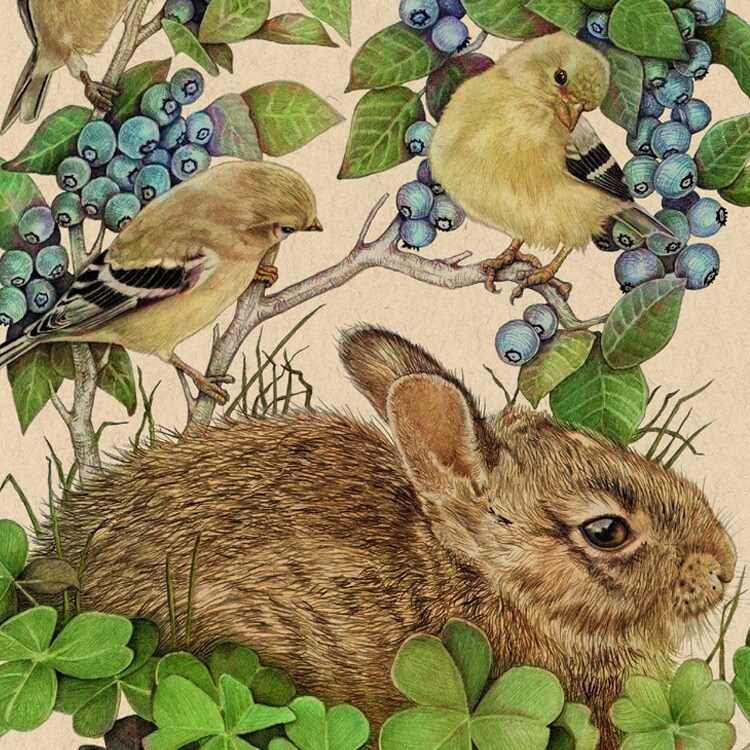 Wendy Berry Art | Storefront | Michaels