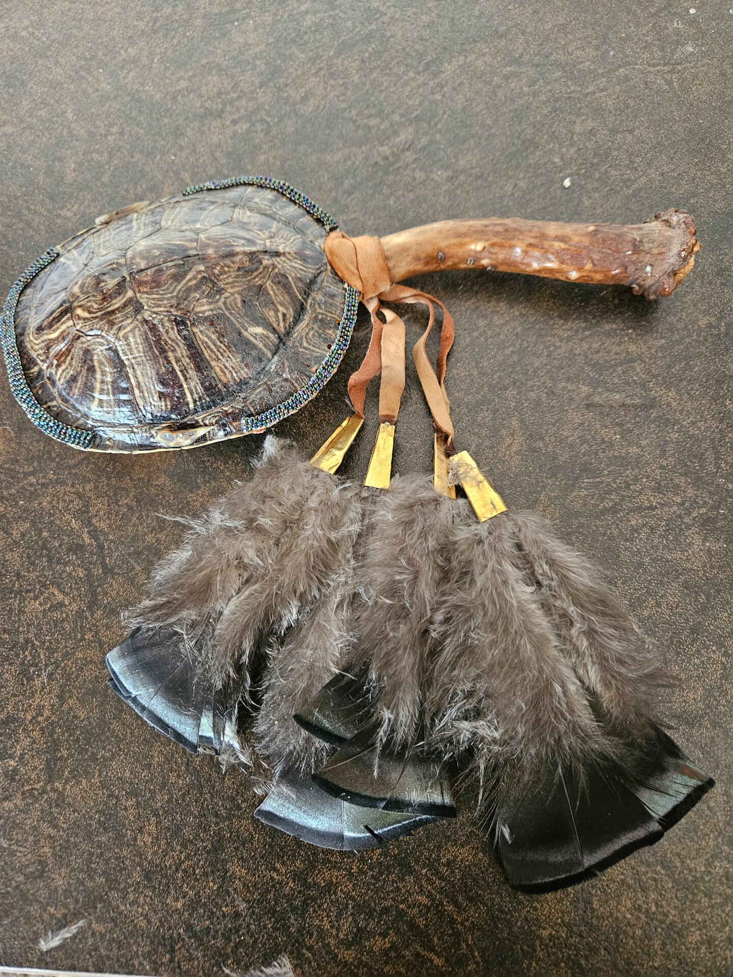 Turtle shell rattle | MakerPlace by Michaels