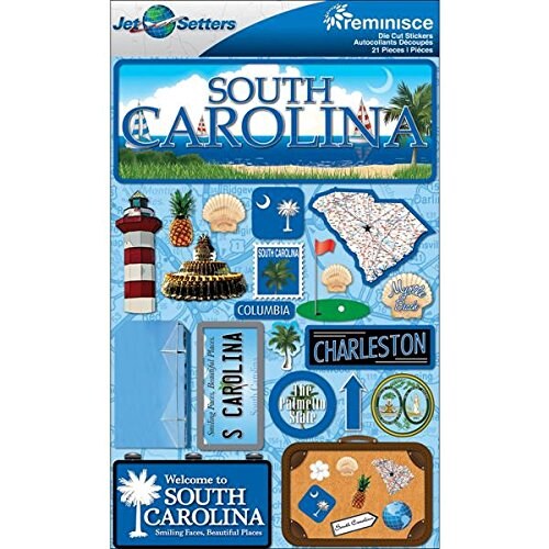 Reminisce South Carolina Jetsetters 3D Stickers | Michaels