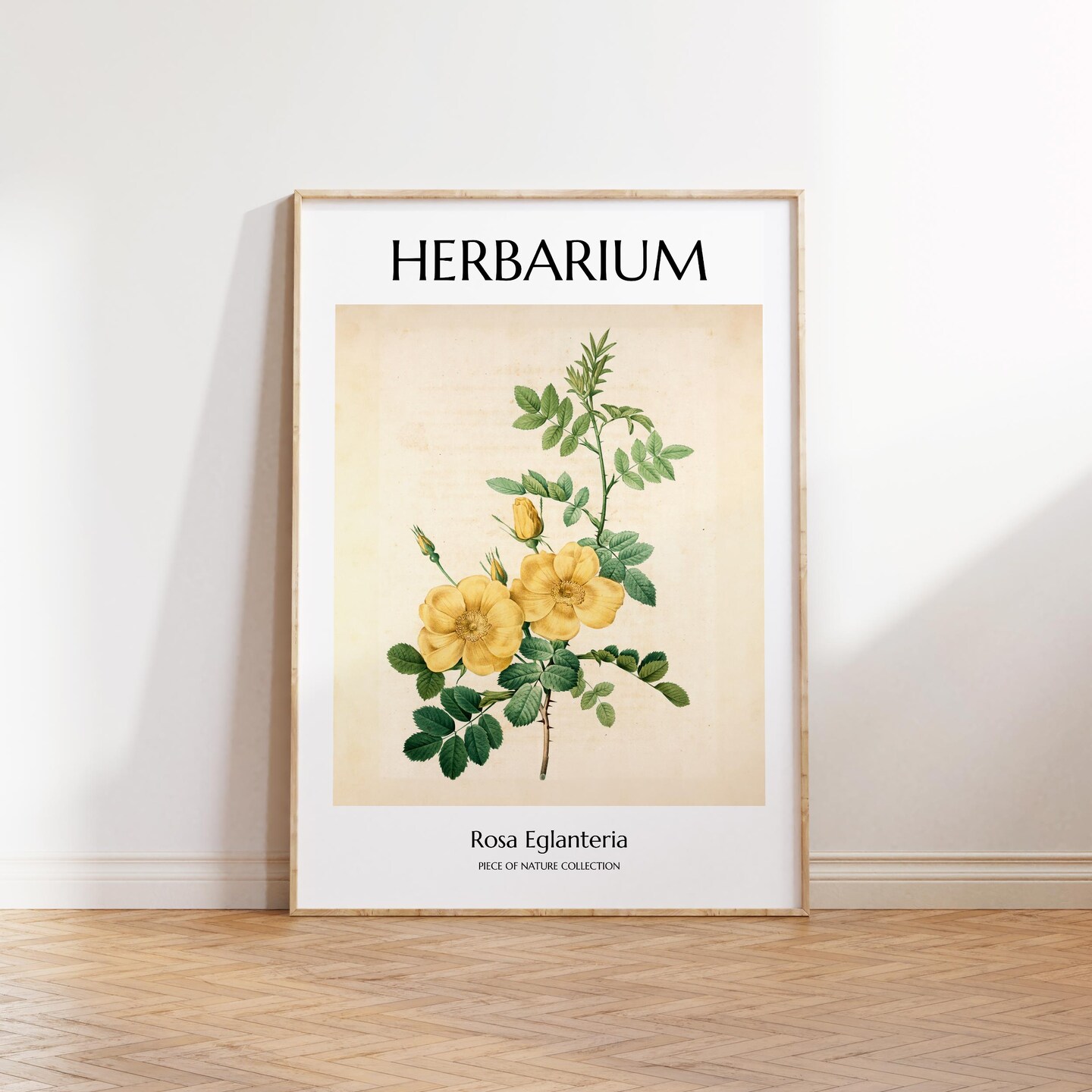 Flower Poster Yellow Rose Coquette Room Decor Poster Wall Art Retro ...