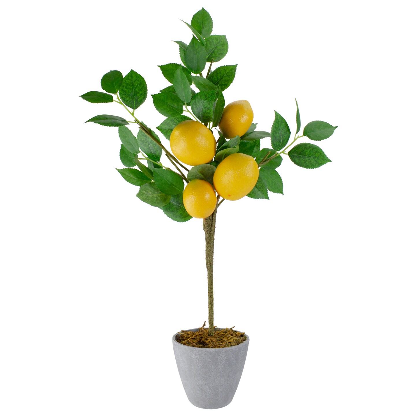 Northlight Artificial Potted Mini Lemon Tree - 20" | Michaels