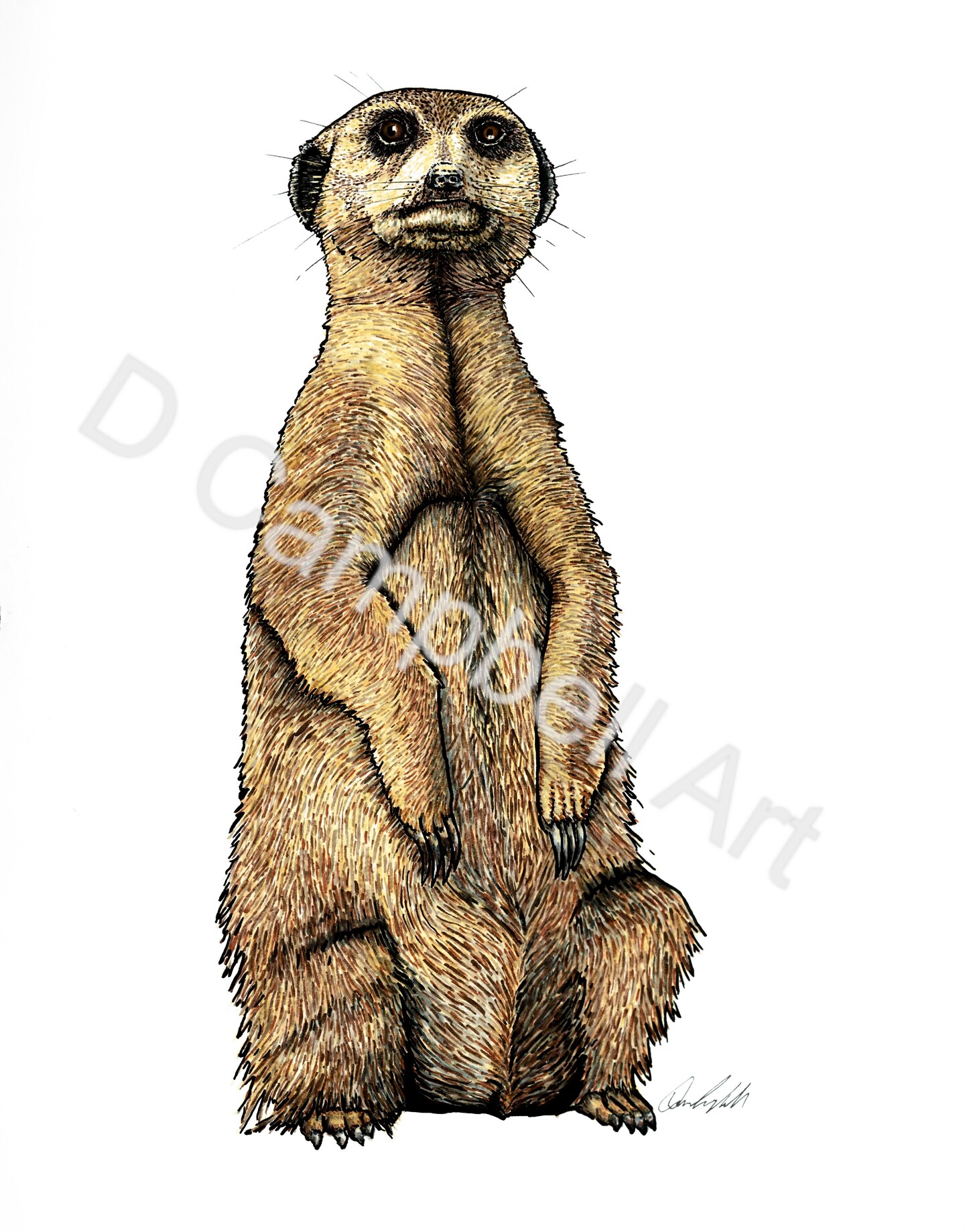A Meerkat Ink Print | MakerPlace by Michaels