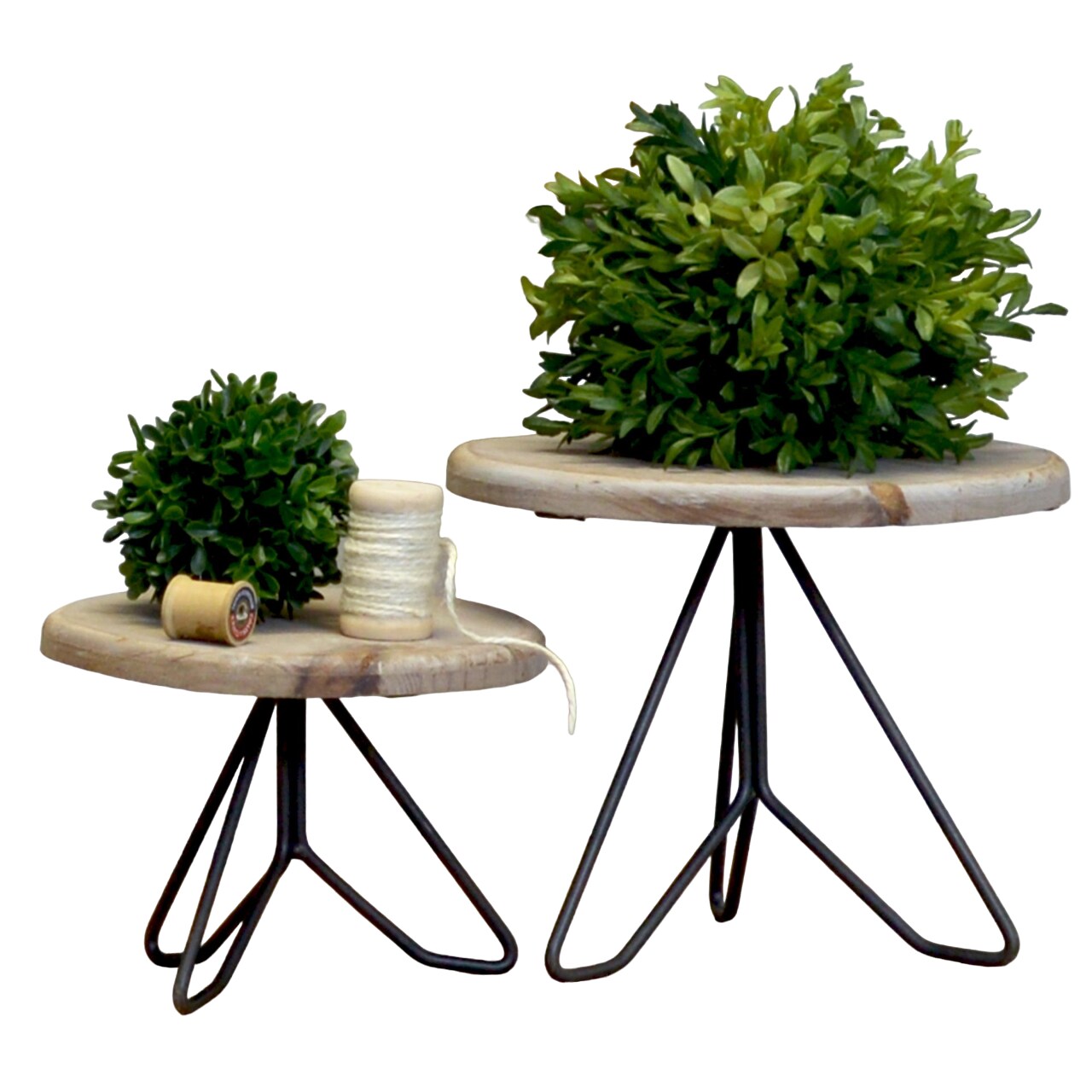 Creative Design Set of 2 White and Beige Round Top Plant Riser Stands ...