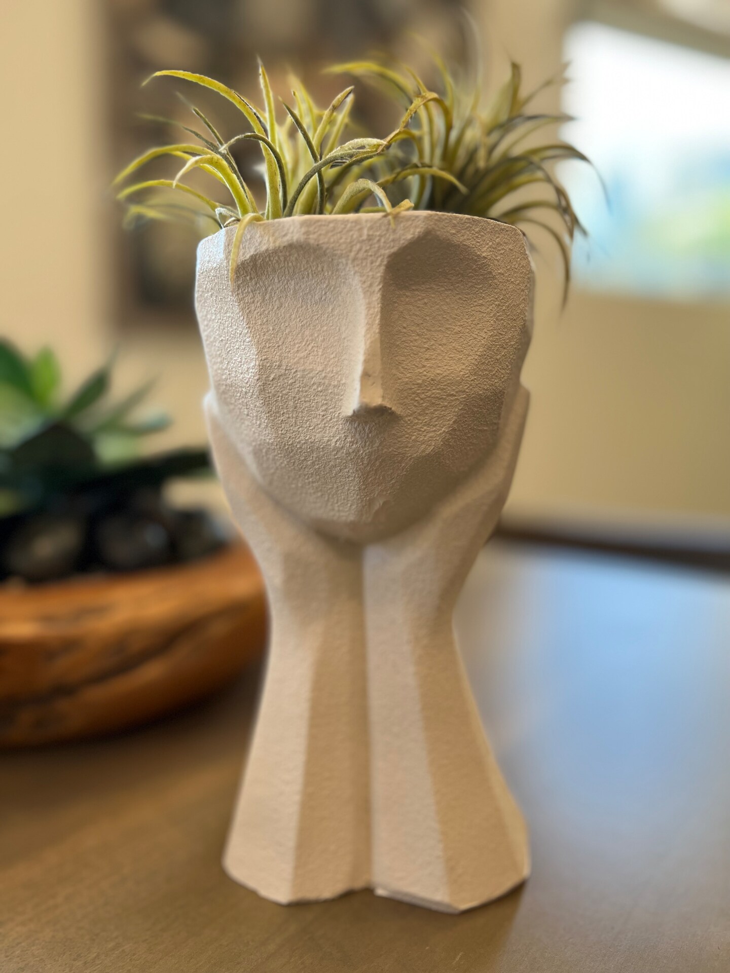 Modern Geometric Face Vase, Versatile Home Décor Piece, Multi-Purpose ...