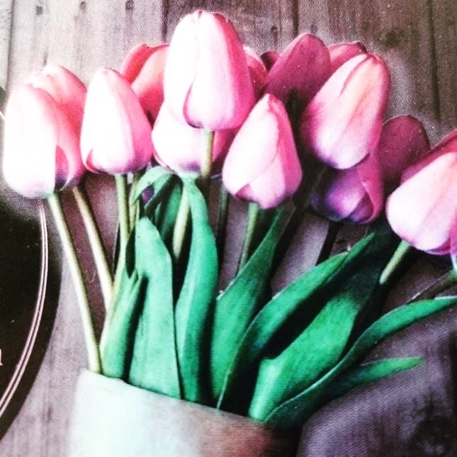 Creative Botanicals | Storefront | Michaels