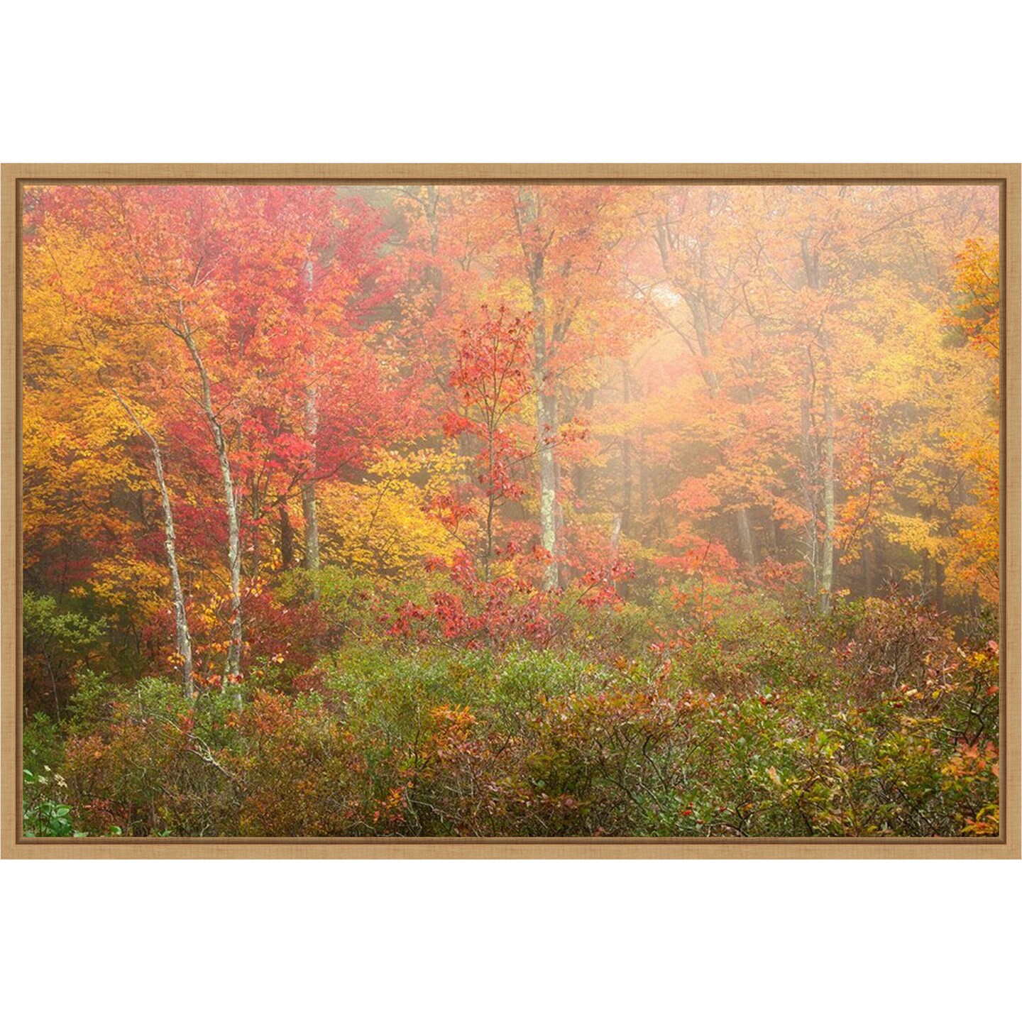 Soft Fall Forest Pallet by Patrick Zephyr Canvas Art Framed | Michaels