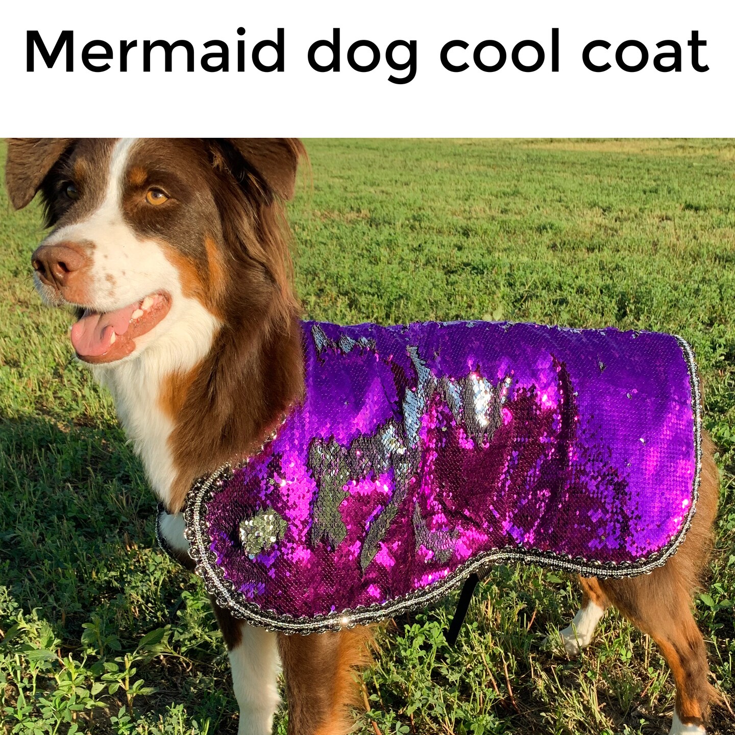 Mermaid dog cool coat, Large dog cool coat, sequined dog cool coat ...
