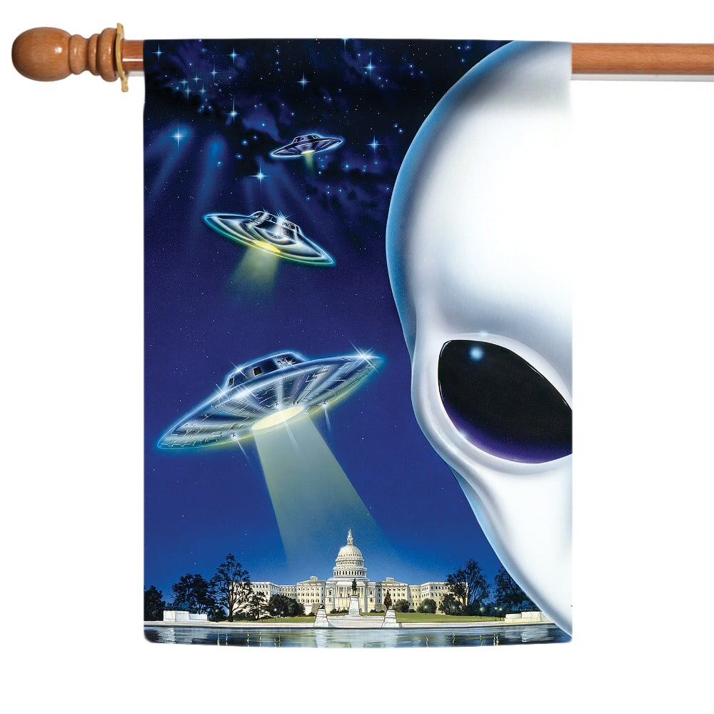 The Grey House Decorative Aliens Flag | Michaels