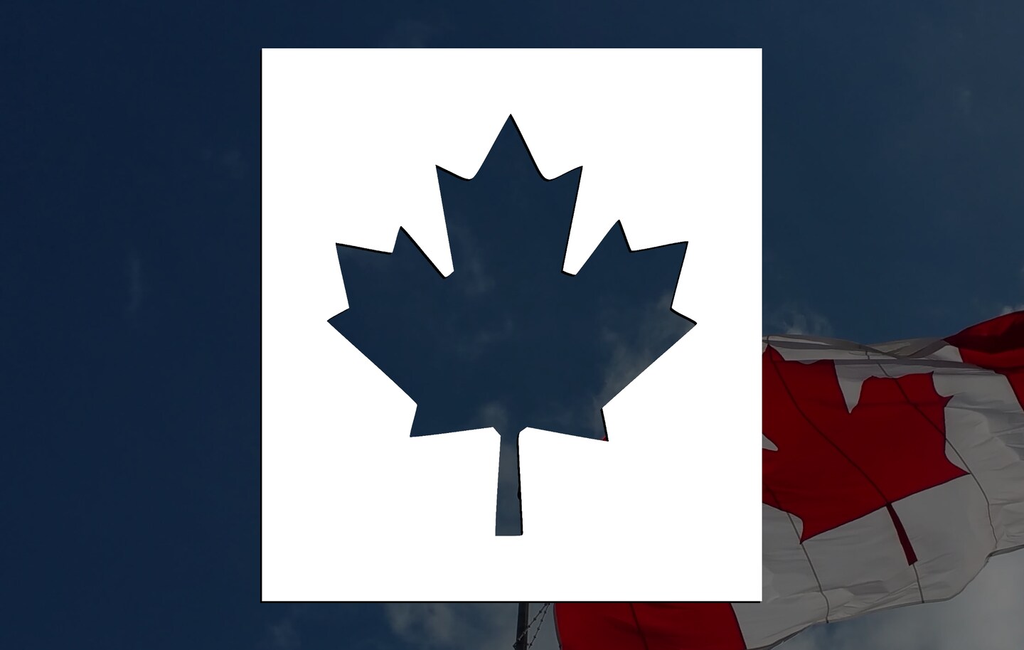 Canadian Flag Style Maple Leaf Reusable Stencil (Many Sizes ...