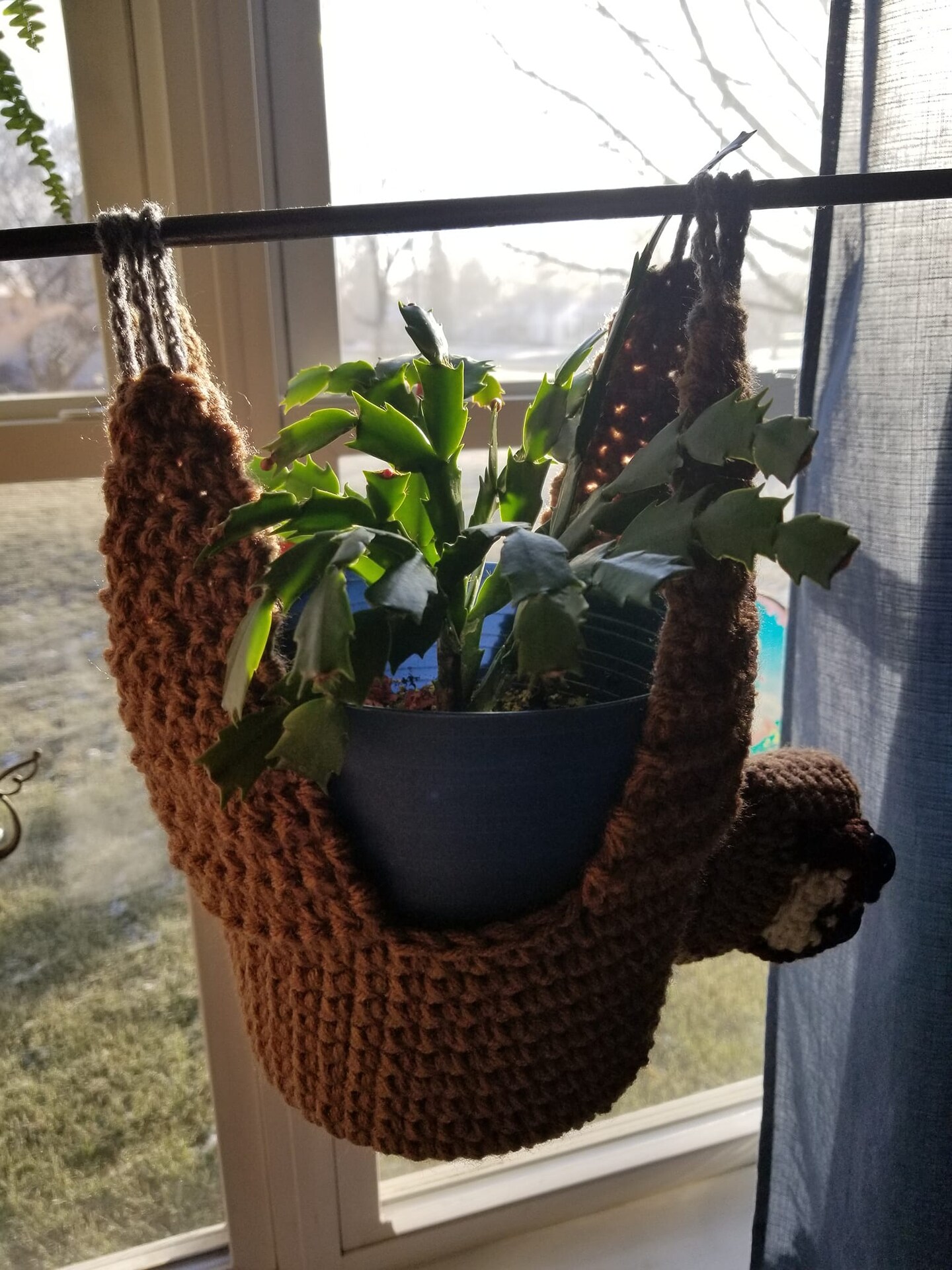 Made to Order: Sully the Sloth plant holder PLANT NOT INCLUDED ...