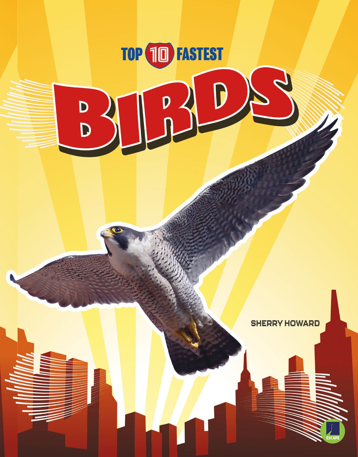 Rourke Educational Media Top Ten: Fastest Birds | Michaels