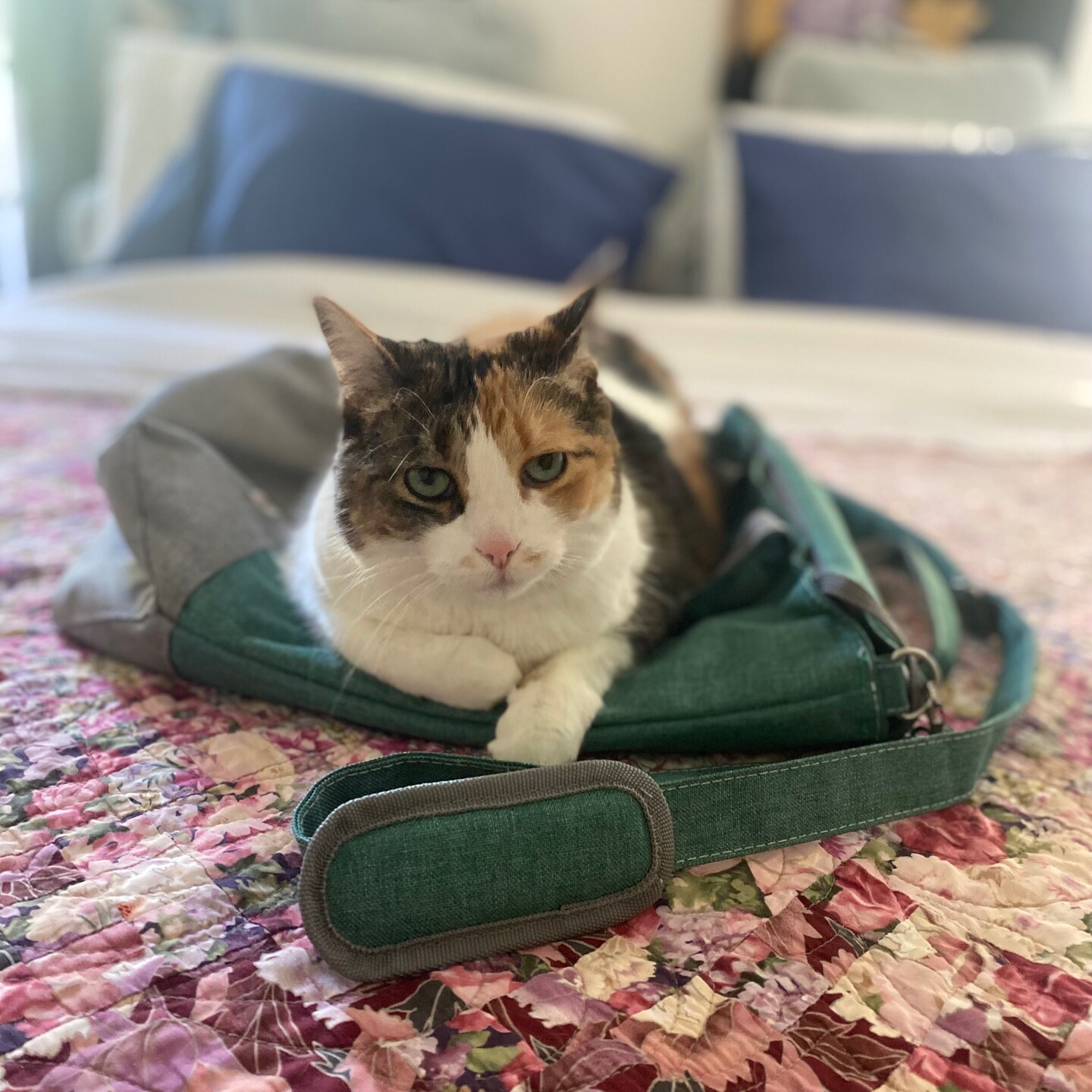 Art by Bree | Storefront | Michaels