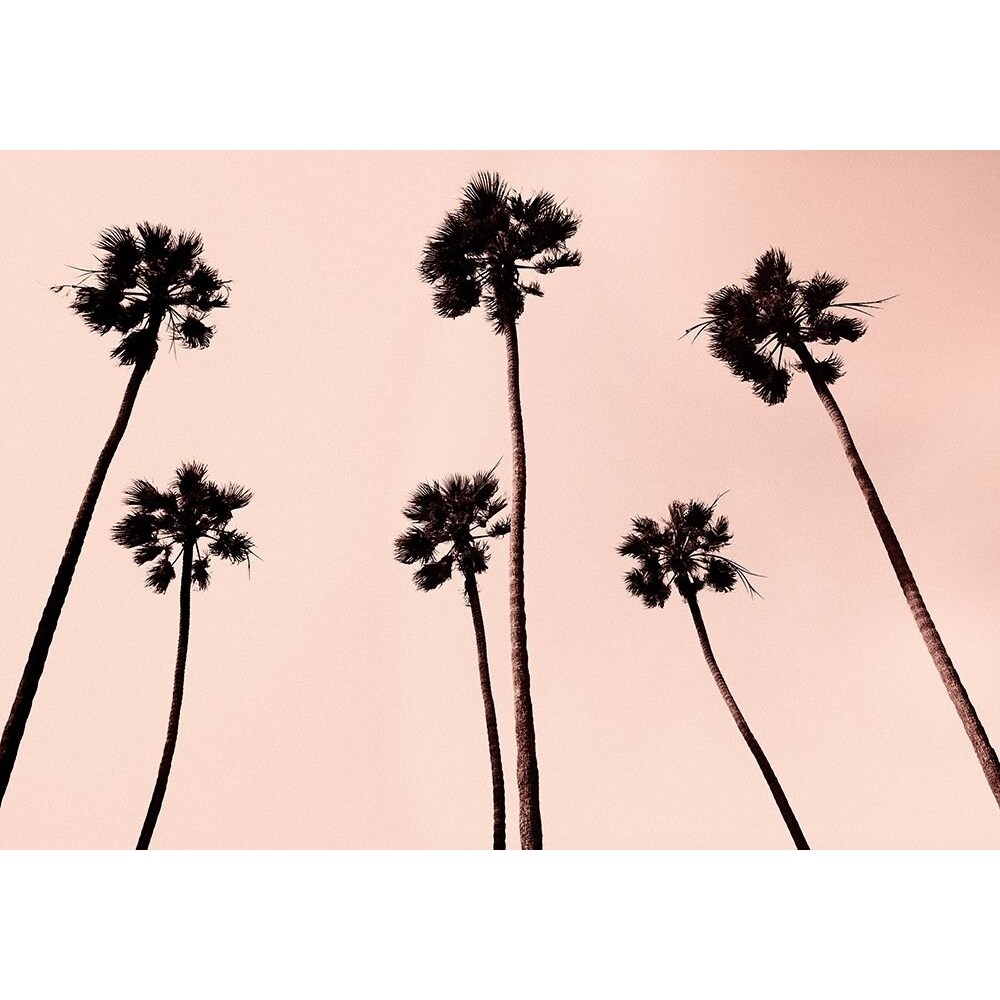 Palm Trees 1997 Copper Poster Print By Erik Asla, Size: 10 x 14 ft ...