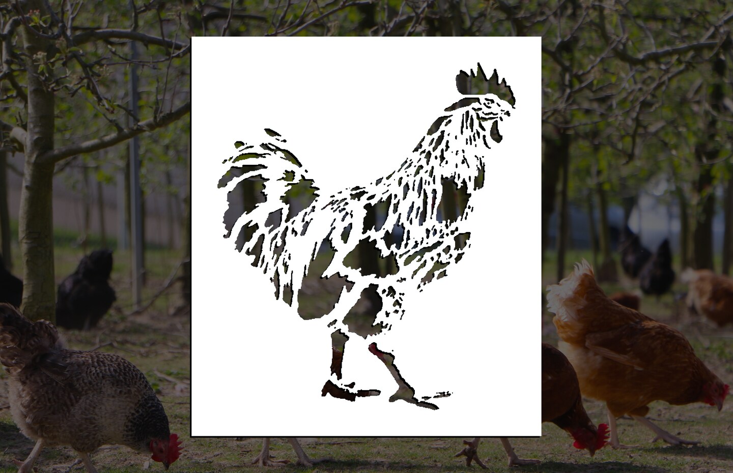 Chicken Rooster Reusable Stencil (Many Sizes) | MakerPlace by Michaels