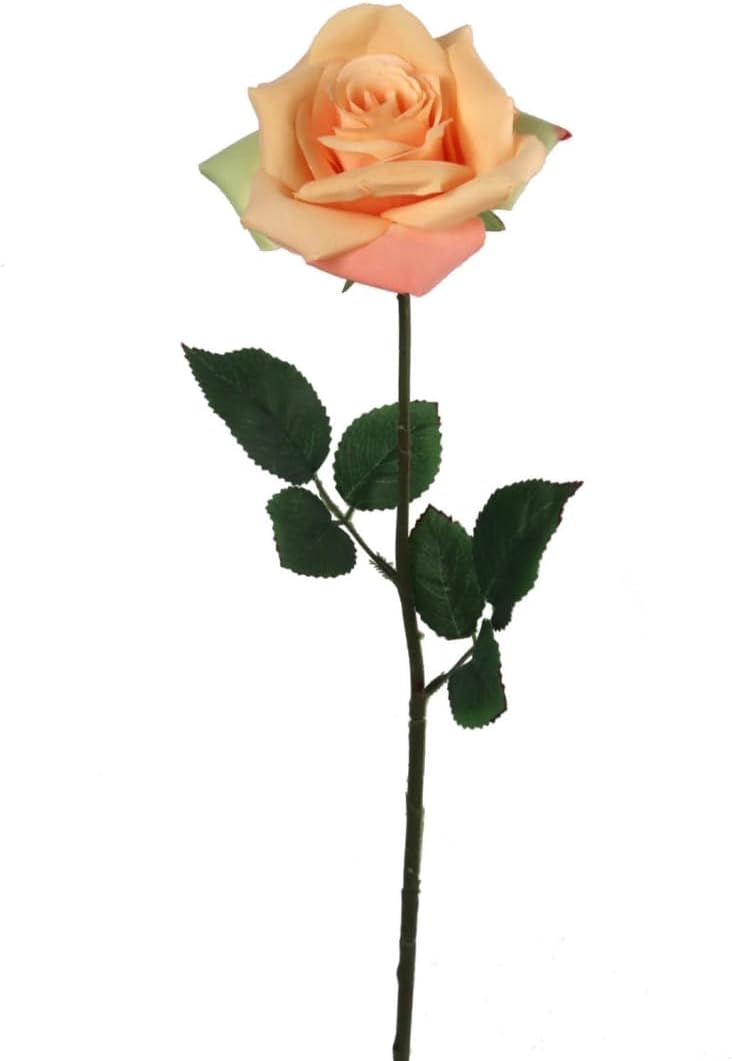 24-Pack Premium 5-inch Diameter Open Rose Blooms with 20-inch Long ...