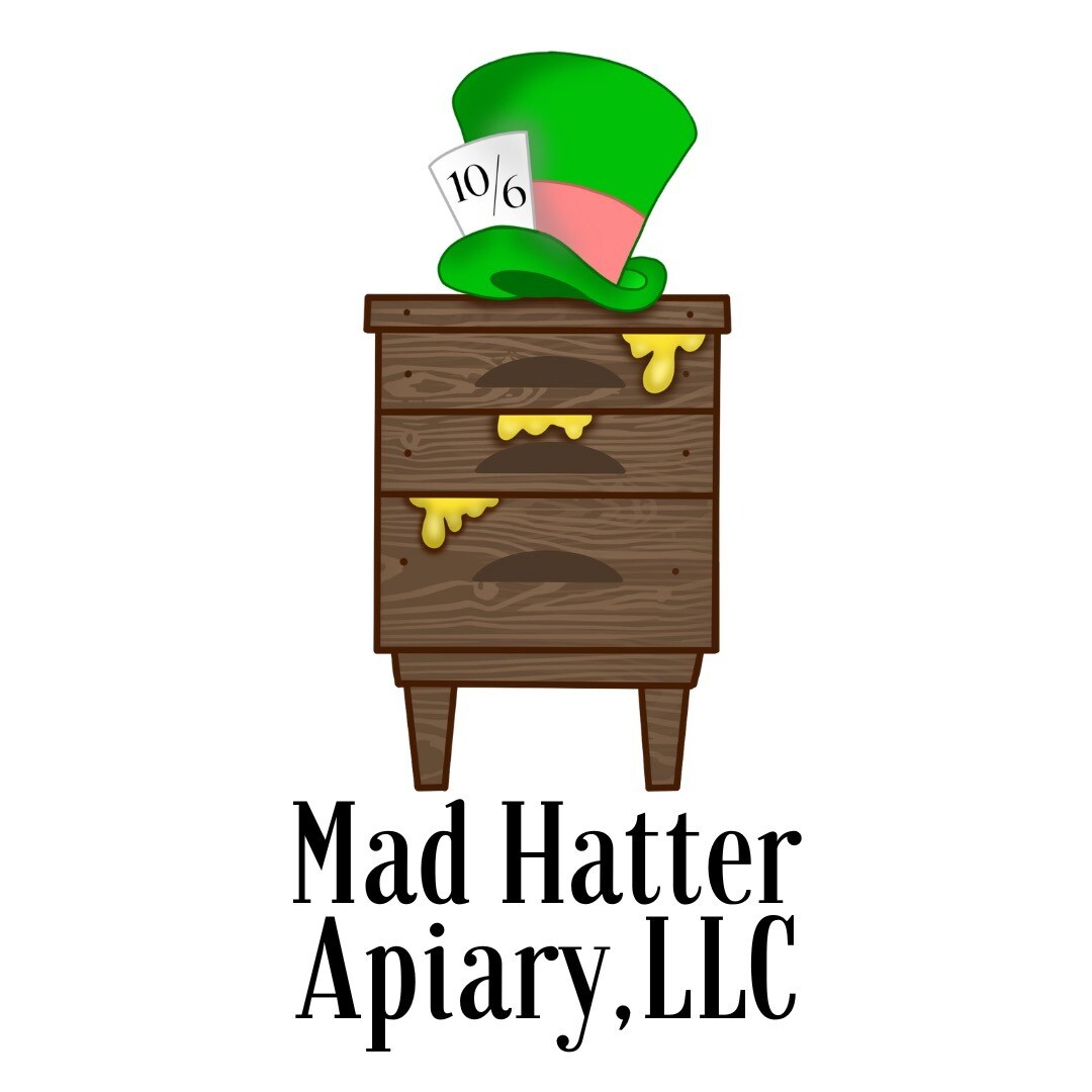 Mad Hatter 3D Workshop | Storefront | Michaels