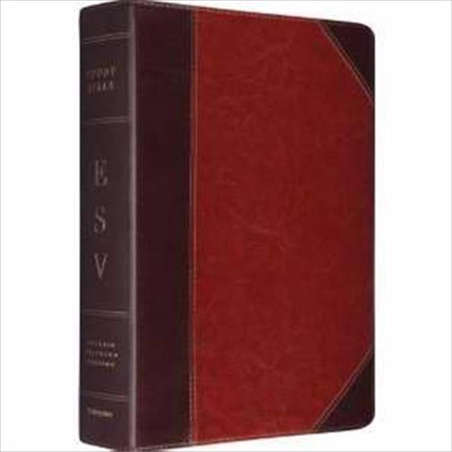 Crossway Books 12778X Esv Study Bible Brown Cordovan Portfolio Design ...