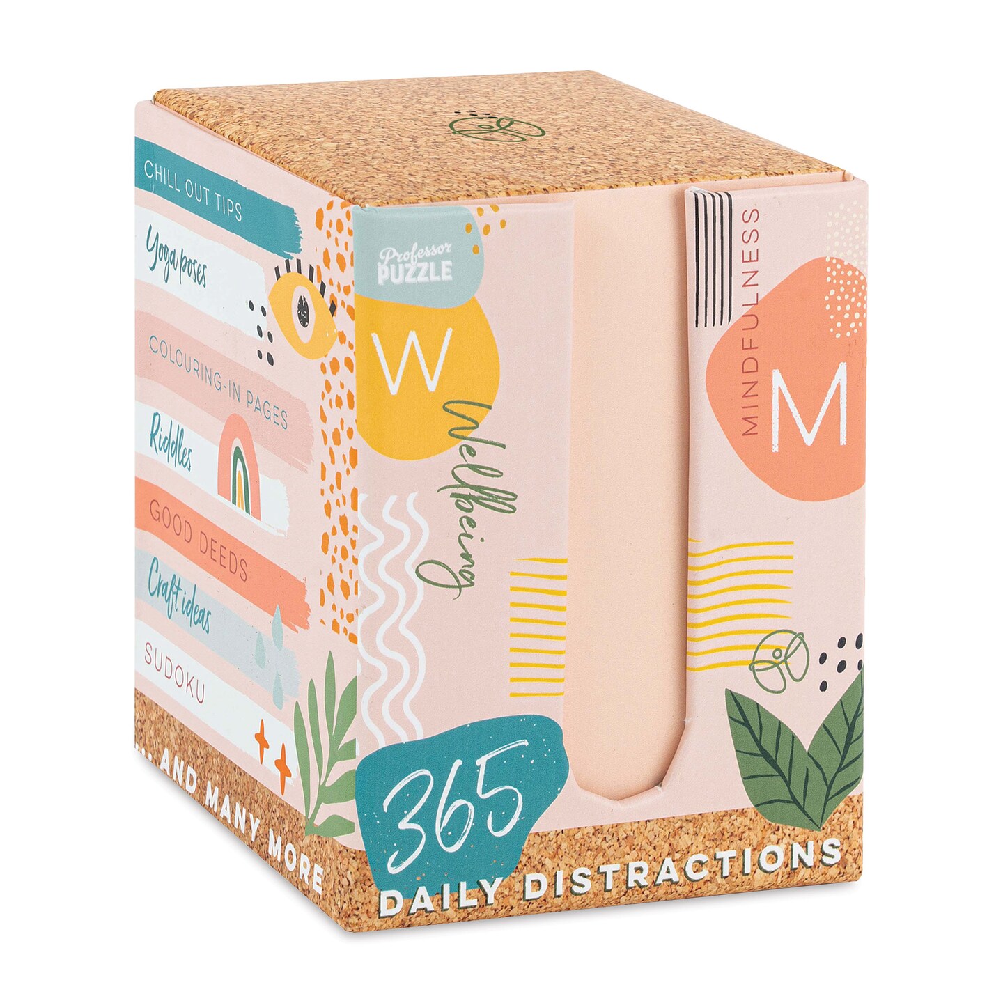 Professor Puzzle 365 Daily Distractions Cards | Michaels