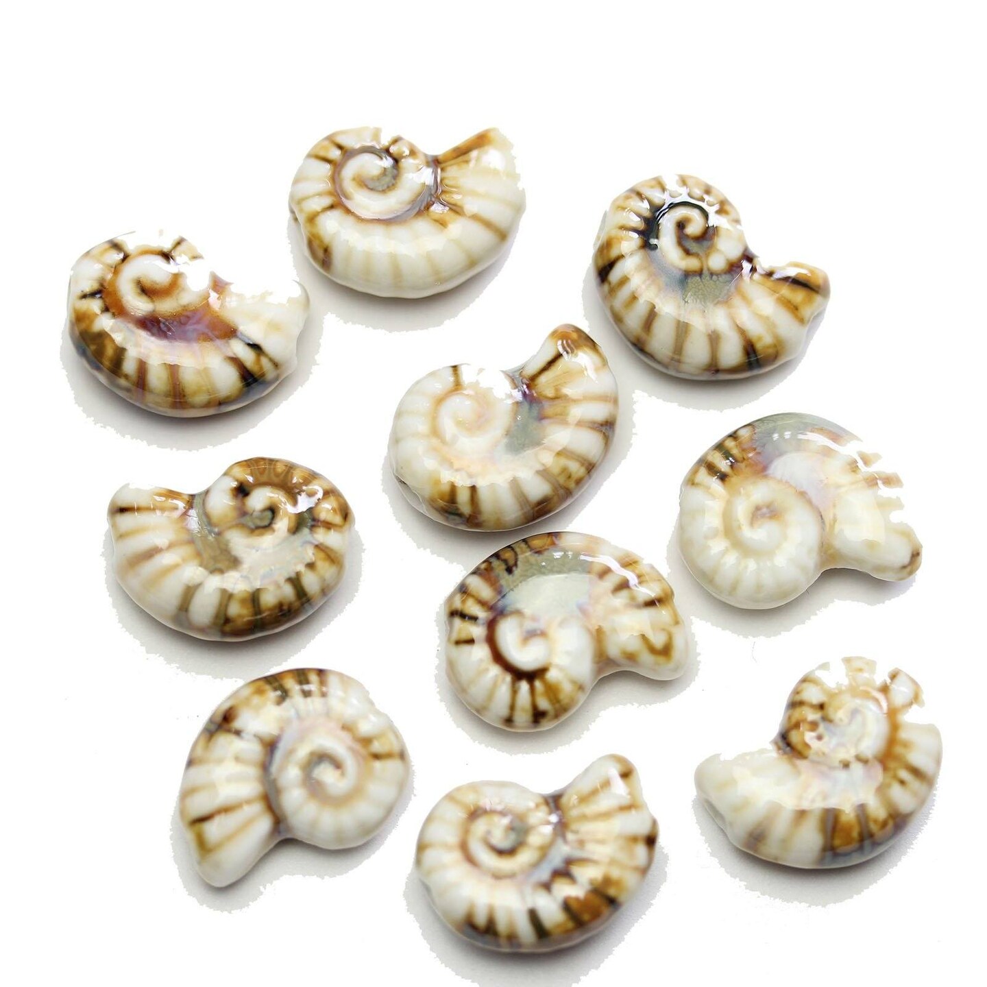 Tan Glaze on White Ceramic Nautilus 15x20mm Beads | Michaels