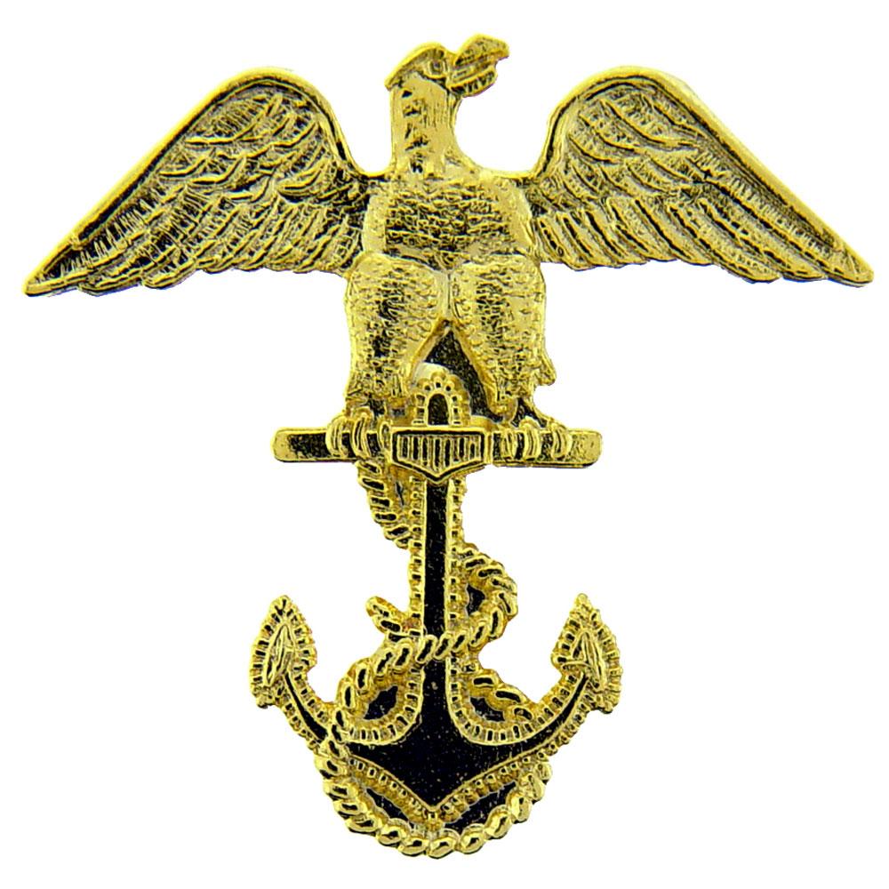 EagleEmblems P12494 PIN-USN,Cadet Eagle (1-1/16'') | Michaels