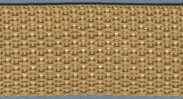 Simplicity Webbing 1"X15yd-Antique Gold | Michaels